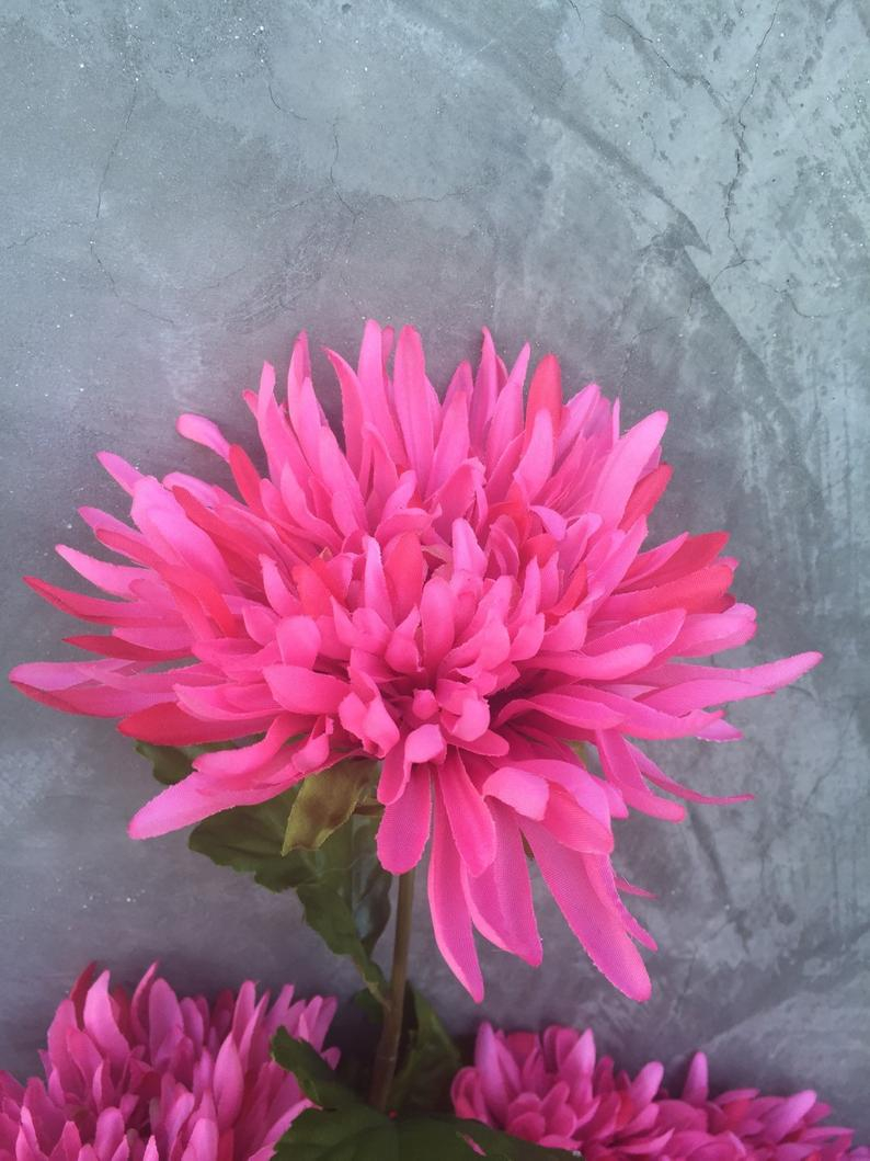 Beautiful Picture of Mums Wedding Decor - regiosfera.com